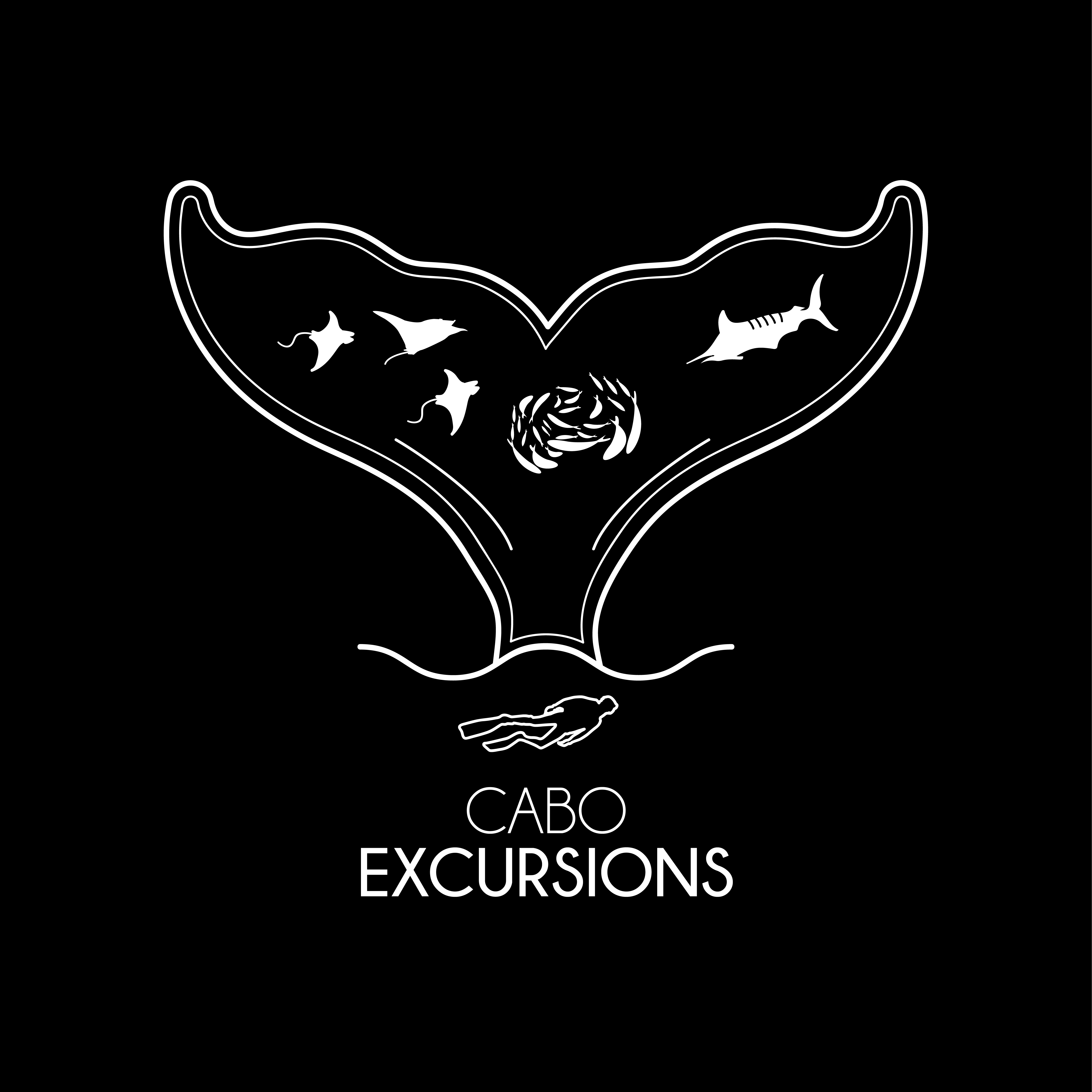 Photography trips - Cabo Excursions